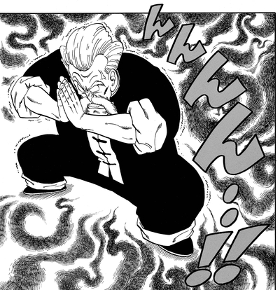 Technique Compendium—Jackie Chun! - DBZ Figures.com